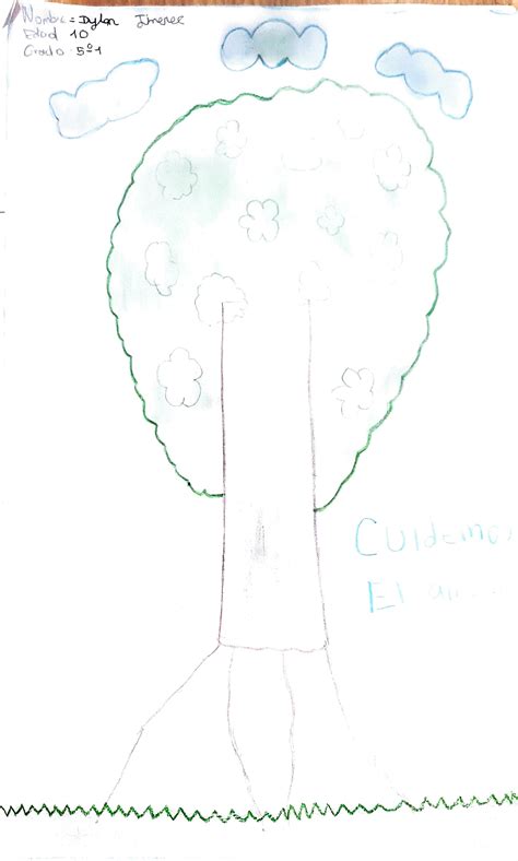 Dylan Mis Amigos Los árboles