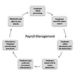 Payroll Management Software At Best Price In Delhi By Crmnas Technology ID 8437003988