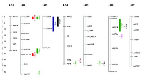Qtls Mapping For Flo Days To Flowering Ph Plant Height Np Number Download Scientific