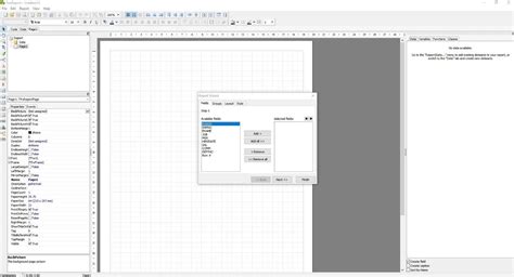Print Data Using Fastreport