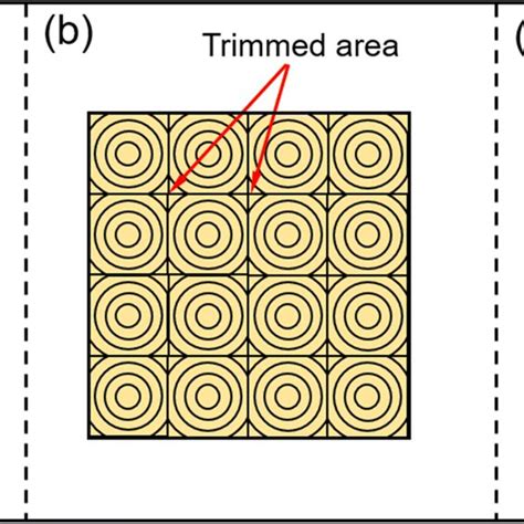 three different types of fresnel lens array a unfilled area b trimmed