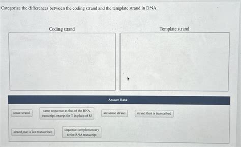 Solved Categorize The Differences Between The Coding Strand Chegg Com
