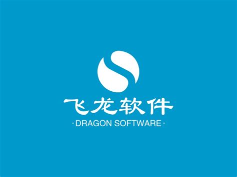飞龙软件 Logo 一键设计科技公司 Logo 标小智
