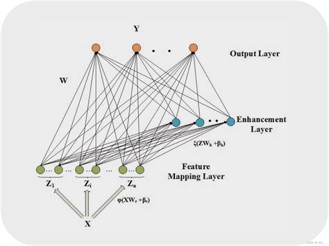 论文 Multi Scale 3d Convolution Feature Based Broad Learning System For Alzheimers Disease