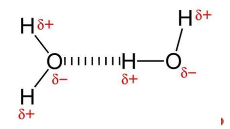 Intermolecular Forces Lesson Ppt Physical Science Pptx Chemistry