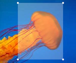Flutter Crop Image Widget FlutterCore