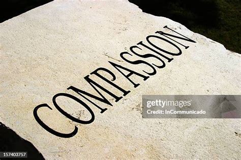 Character Trait Photos And Premium High Res Pictures Getty Images