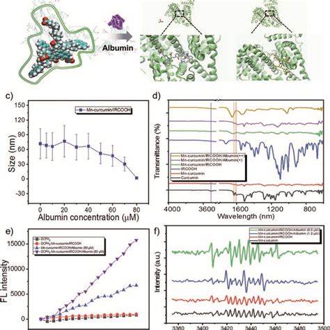 Activatable Nanozymes Vary From Ros Scavenging To Oxidase Like Mimics
