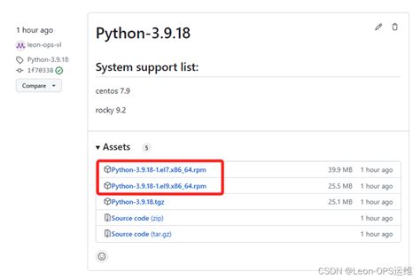 【服务器系统】在centos7、rocky9上使用rpm包安装部署python3 Csdn博客