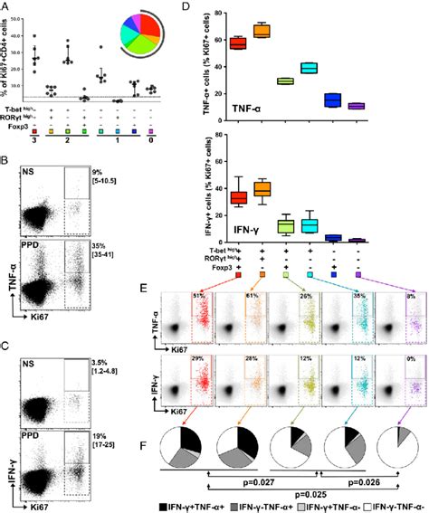 Functional Capacity Of Ppd Specific Cd4 T Cells Varies According To