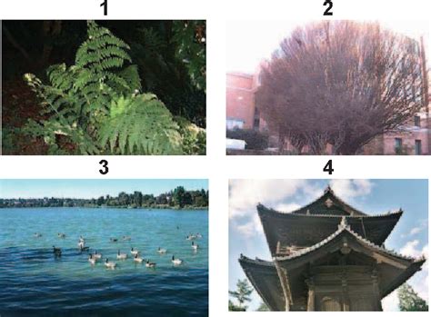 Figure 1 From Towards A New Approach For An Effective Image Retrieval