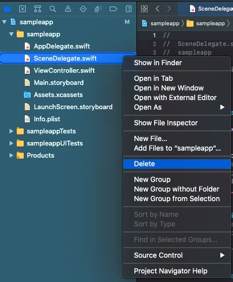[ios xcode] scenedelegate 삭제하고 app build 수니의 개발블로그