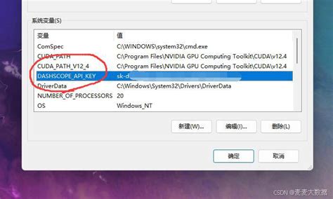配置阿里云千问大模型 环境变量dashscope dashscope api key csdn博客