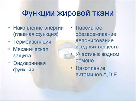 Пин от пользователя Irina Franzen на доске Здоровье Углубленное изучение биологии Уроки