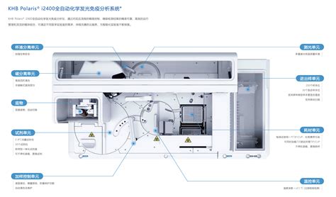 全自动化学发光免疫分析仪 企业官网