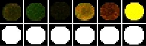 Example Of The Extracted Spots And Their Corresponding Binary Map Download Scientific Diagram