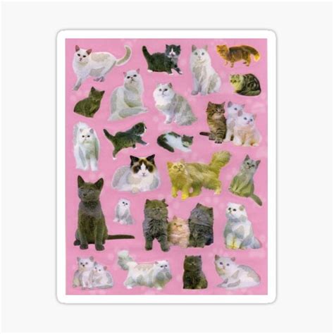 Y2k Pink Cat Aesthetic Sticker By Elinguinness Redbubble