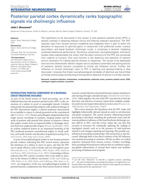 Pdf Posterior Parietal Cortex Dynamically Ranks Topographic Signals Via Cholinergic Influence