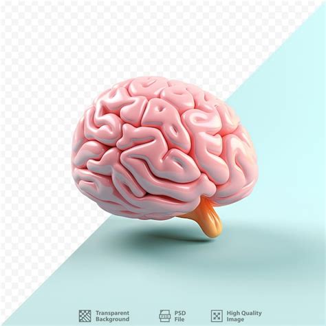 Premium Psd Three Dimensional Brain