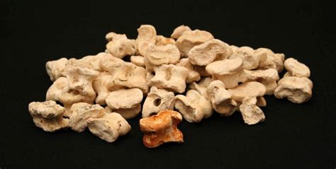 Асыки, альчики казахская игра