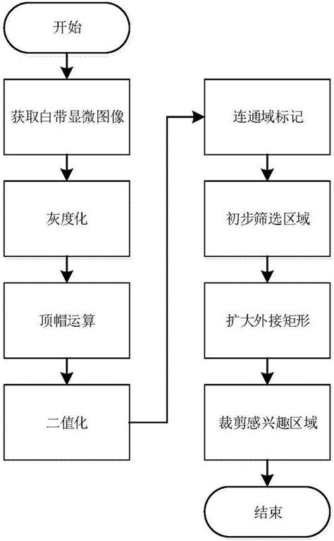一种基于hog特征和svm的白带霉菌自动检测方法与流程 一种基于hog特征和svm的白带霉菌自动检测方法与流程