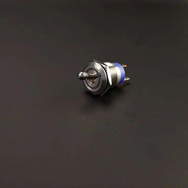 Metal Toggle Switch