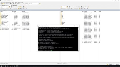 Accessing Aws Ec2 Server Terminal Using Putty Newtum