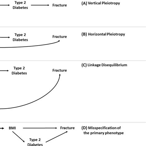 Directed Acyclic Graphs Highlighting The Difference Between Download Scientific Diagram