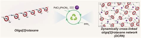 Dynamically Cross‐linked Oligo 2 Rotaxane Networks Mediated By Metal‐coordination Bai