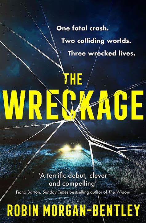 The Wreckage Morgan Bentley Robin 9781409194170 Books