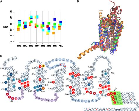 A Mean Percentage Identity ID Between Different GPCR Families The Download Scientific