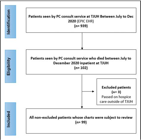 Figure 1 From Evaluation Of Bereavement Assessment Within Inpatient
