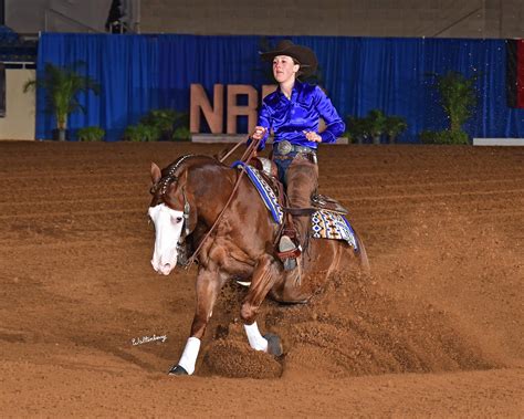 National 𝐍𝐨𝐧 𝐏𝐫𝐨 𝐍𝐨𝐯𝐢𝐜𝐞 𝐇𝐨𝐫𝐬𝐞 𝐂𝐡𝐚𝐦𝐩𝐢𝐨𝐧 𝐊𝐲𝐥𝐢𝐞 𝐖𝐚𝐫𝐧 And 𝐖𝐡𝐚𝐭 𝐀 𝐒𝐮𝐫𝐩𝐫𝐢𝐬𝐞