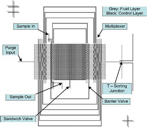 Figure 10 1 From Microfluidic Large Scale Integration And Its Application To Systems Biology