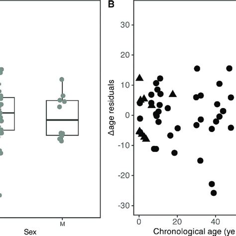 Final Age Estimation Model Analysis Of Estimation Accuracy And Model