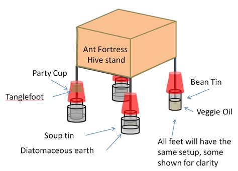 How To Stop Ants Attacking Bees And Protect Your Bee Hive Eyesonhives