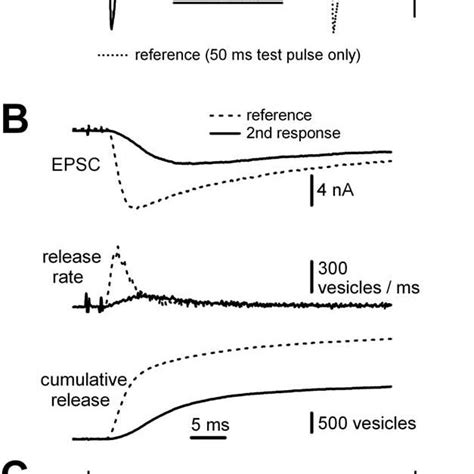 Short Depolarizing Pulses Cause Small Ca 2 Transients And The Slow