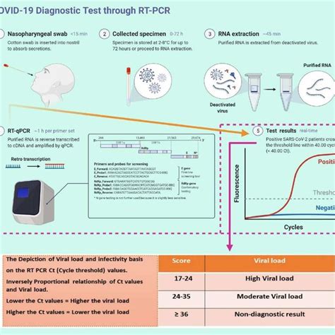 pdf viral dynamics and real time rt pcr ct values correlation with