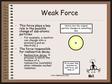 Weak Nuclear Force Examples