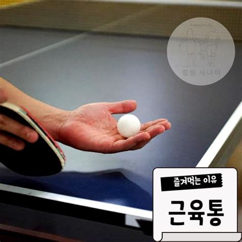 시나몬가루 효능 계피가루 차이와 칼로리 먹는 법 부작용 네이버 블로그