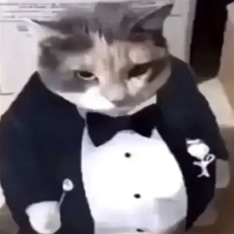 Aaron Do Stuff Youtube