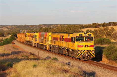 Arg P — Trainspo Arg P — Trainspo