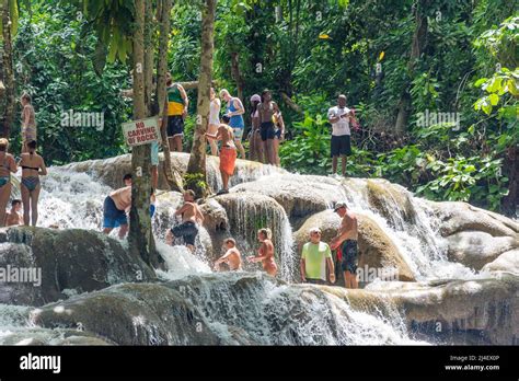 Tourists Climbing Dunns River Falls Ocho Rios St Ann Parish Jamaica