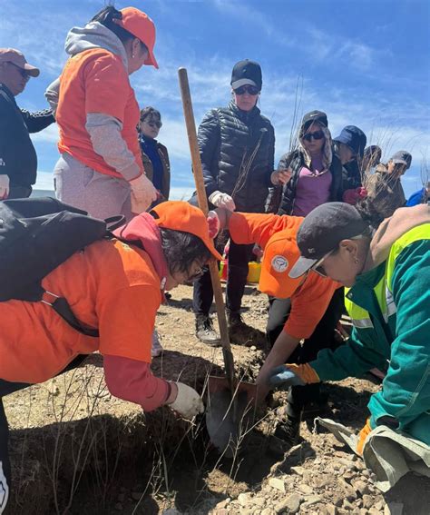 Арьсны Өвчин Судлалын Арьсны Өвчин Судлалын Үндэсний төв