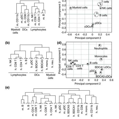 Fcm Partitional Clustering Fcm Partitional Clustering Was Performed On