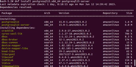 How To Install PostgreSQL 15 Amazon Linux 2023 LinuxShout