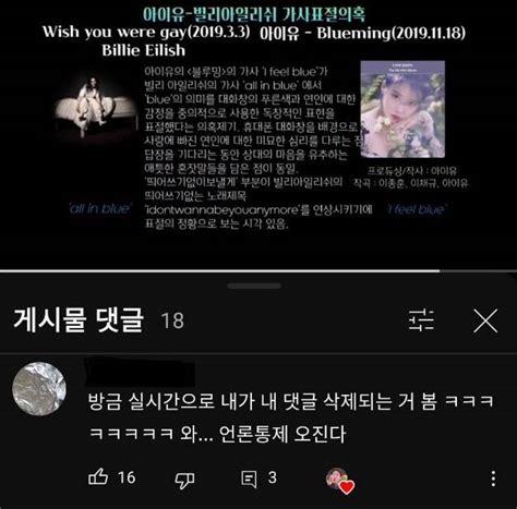 덧붙임 아이유 분홍신 표절 논란 언론 통제 계정 영상 댓글 삭제 증거 有 표절 의혹곡 47곡 모음 有 인스티즈