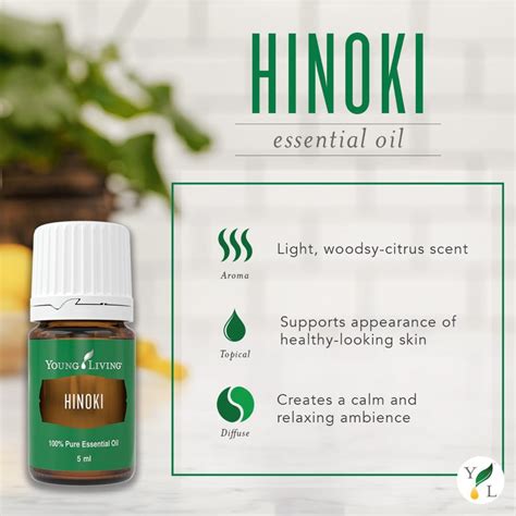Young Living Hinoki Essential Oil 5ml Essential Oil Life