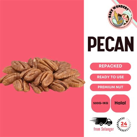 Pecan Nuts Usa Premium Raw Imported Pecan Nutkacang Pecan山核桃 500g
