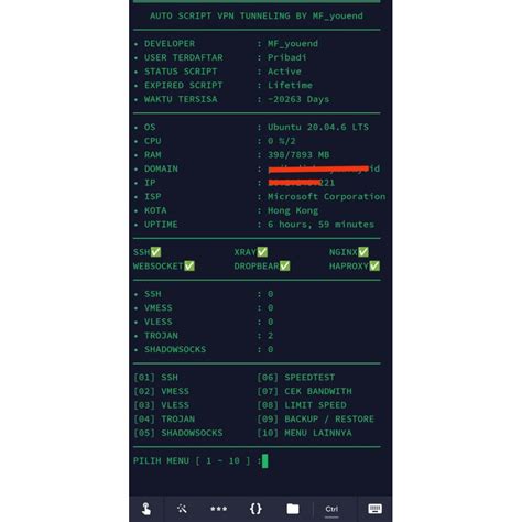 Jual Script Install Vpn Tunneling Premium Vmesstrojanvlessssh